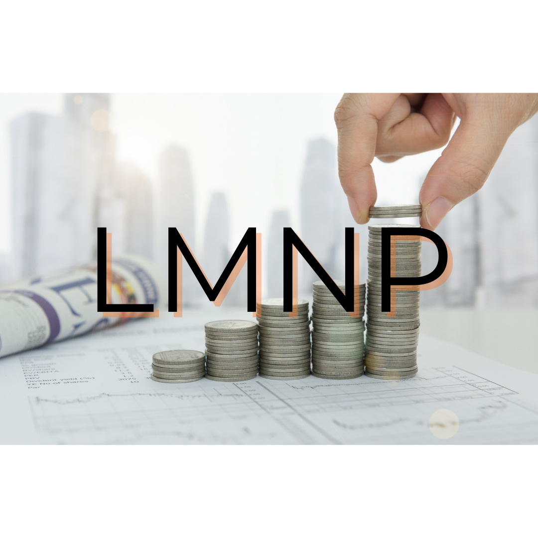 LMNP, découvrez une autre façon d'investir